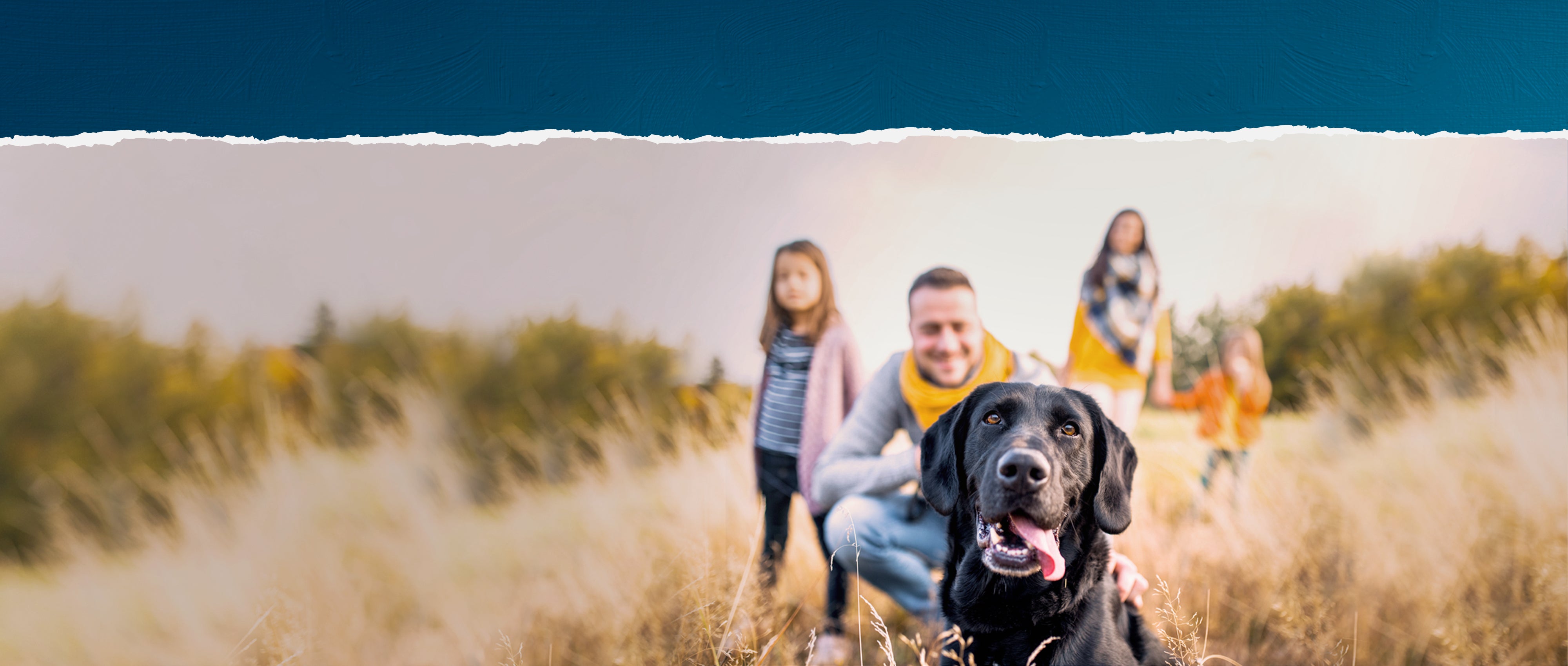 Caledon Farms Healthy Dog and Cat Treats – Caledon Farms U.S