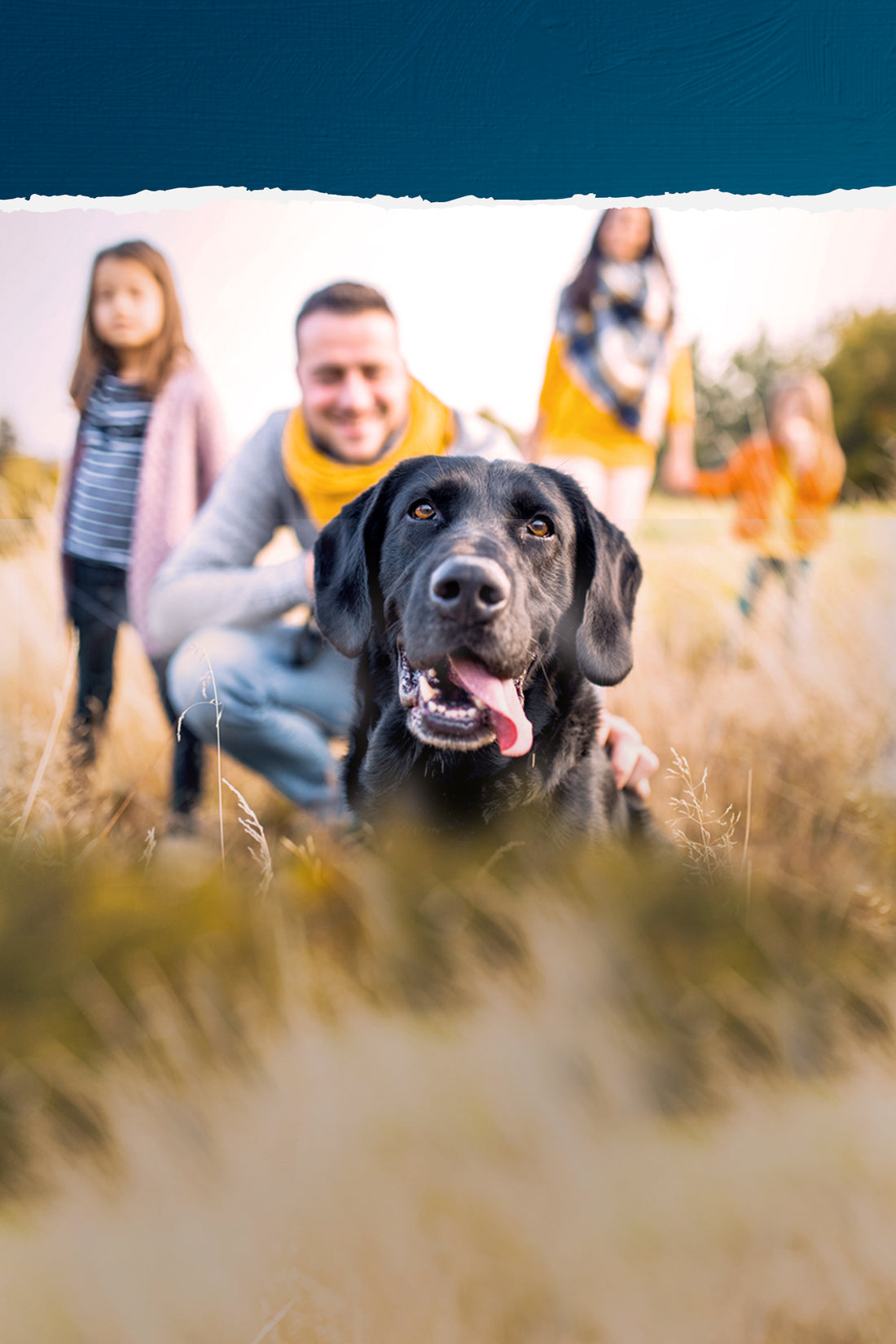 Caledon Farms Healthy Dog and Cat Treats – Caledon Farms U.S