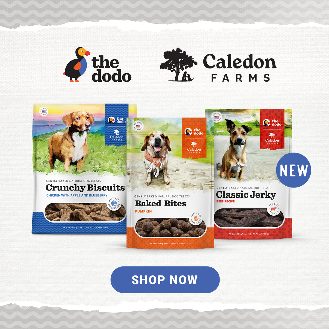Native Pet CALEDON FARMS Sweet Potato Chews Dog Treats, 9.3-oz Bag Low ...