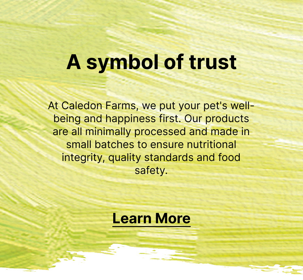 Caledon Farms Healthy Dog and Cat Treats – Caledon Farms U.S